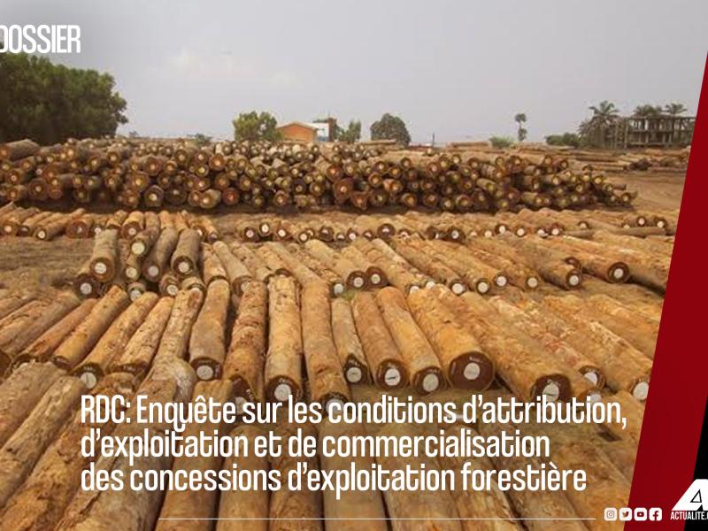 RDC-Forêts : Quand les responsables du pillage des forêts du Congo seront-ils sanctionnés ...